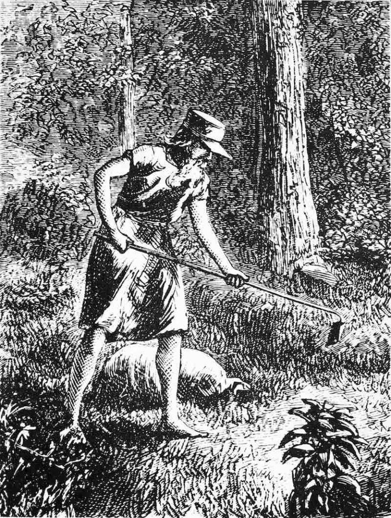 Meet John Chapman, The Real Johnny Appleseed - History Hustle